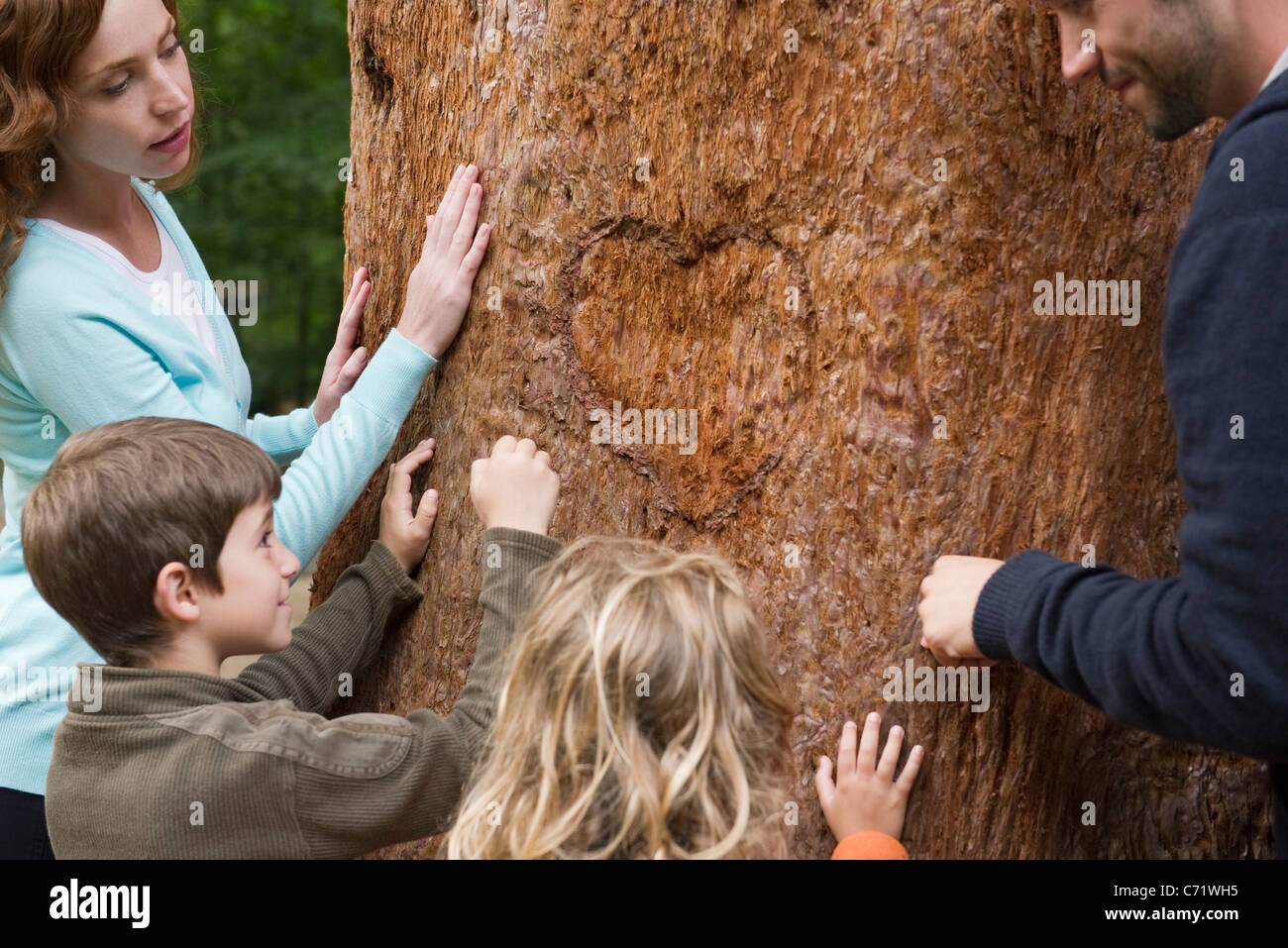 Boy touching tree trunk hi-res stock photography and images - Alamy
