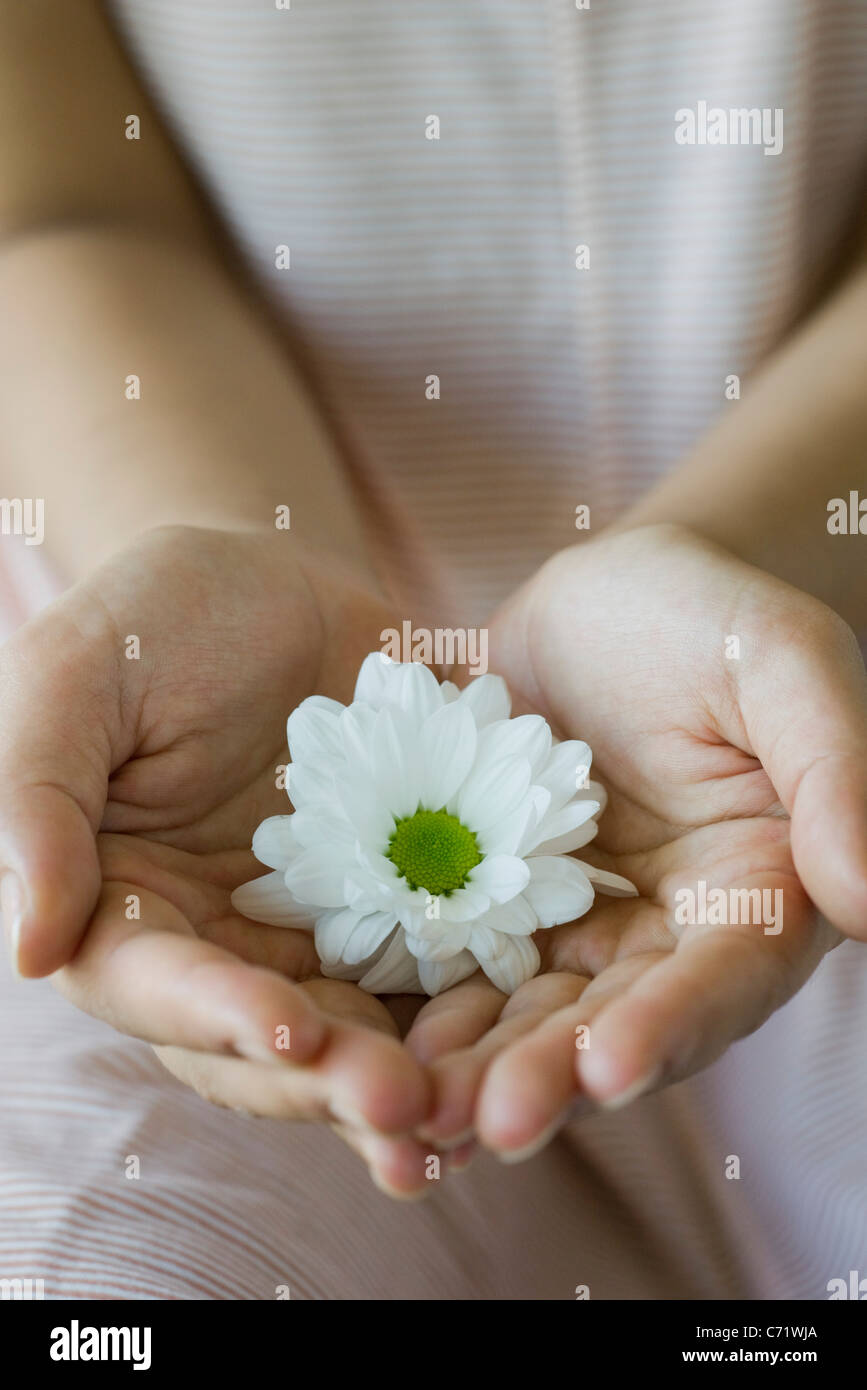 Hand daisy hi-res stock photography and images - Alamy