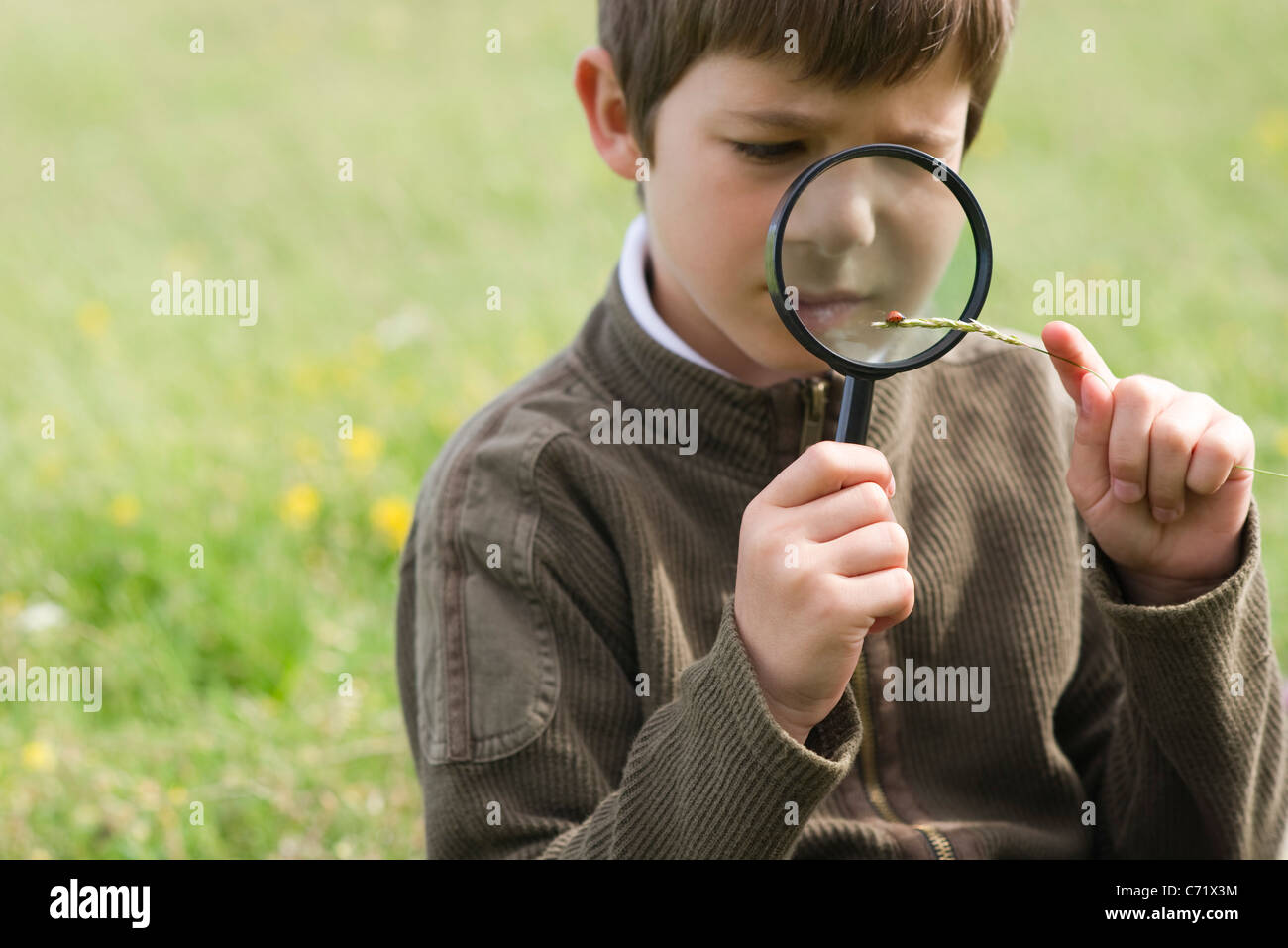 Child magnifying glass insect hi-res stock photography and images - Alamy