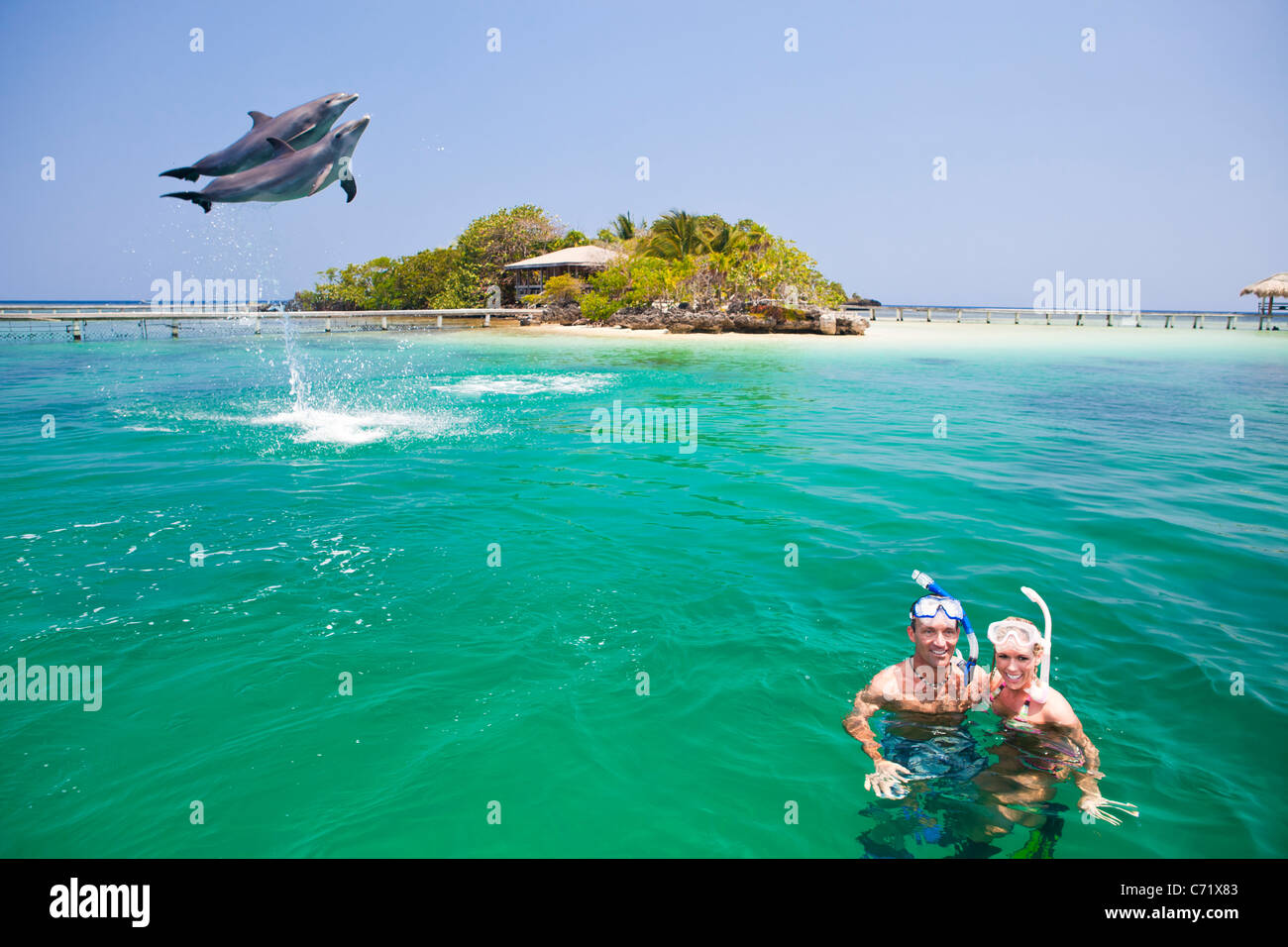 Couple waits in water while dolphin pair jumps. Roatan, Honduras Stock ...