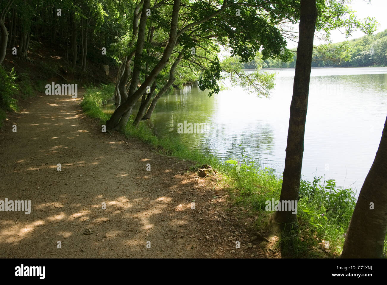 Plants along ponds hi-res stock photography and images - Alamy