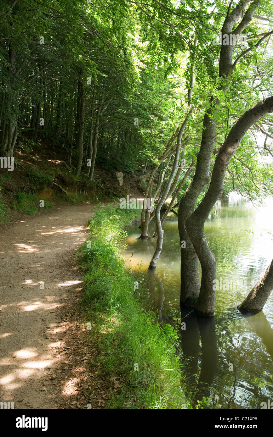Plants along ponds hi-res stock photography and images - Alamy