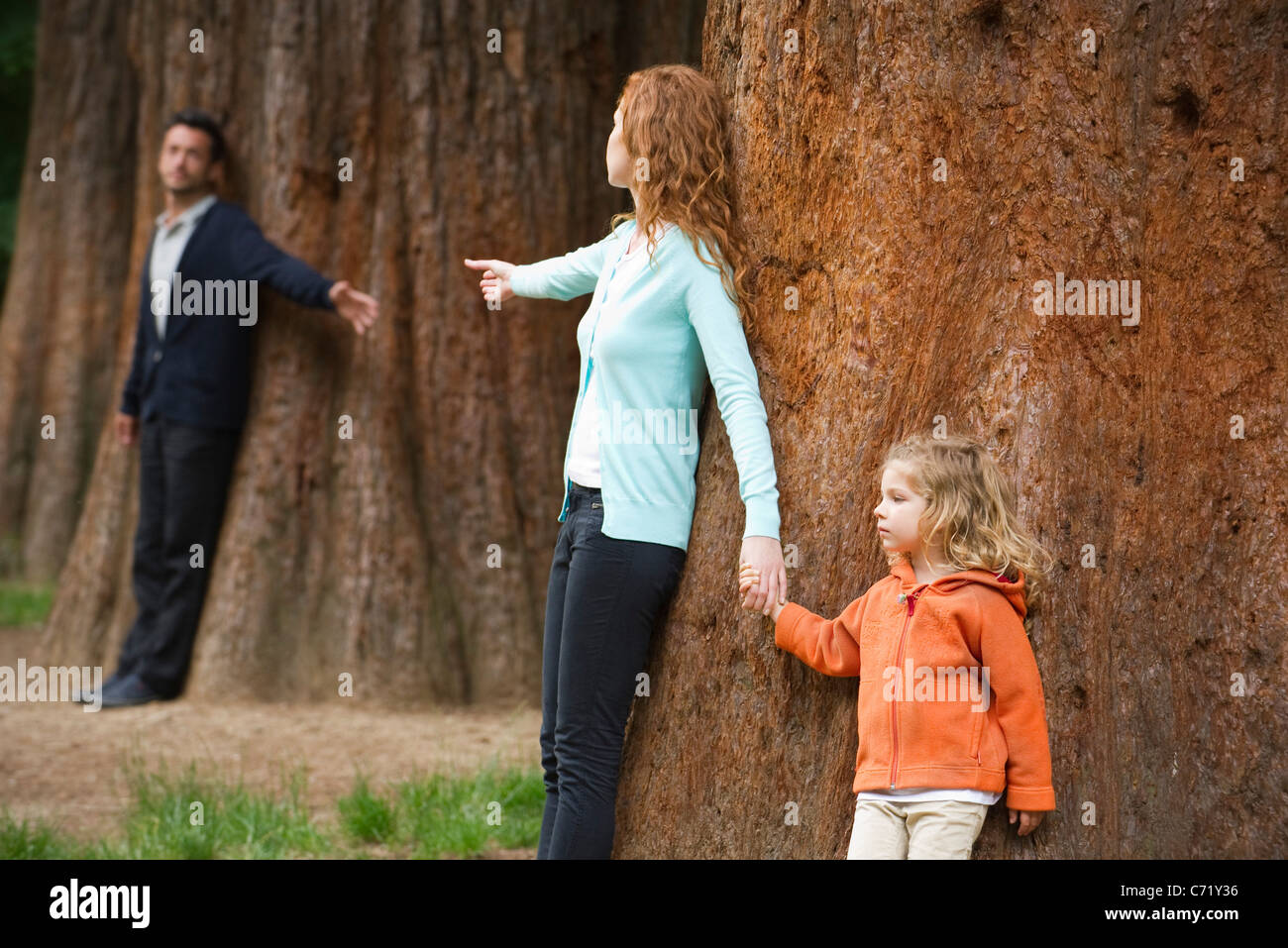 Parents leaning against separate trees, reaching out for each other ...