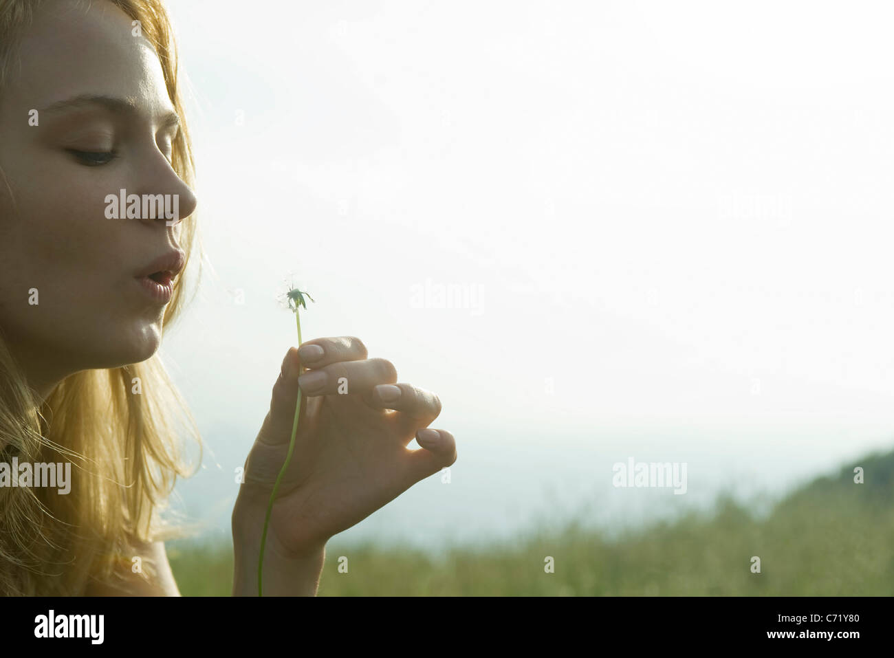 Young woman blowing dandelion seedhead Stock Photo - Alamy