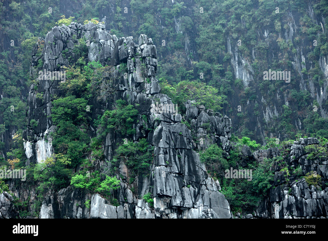 Rocky Cliffs, Halong Bay, Vietnam Stock Photo - Alamy