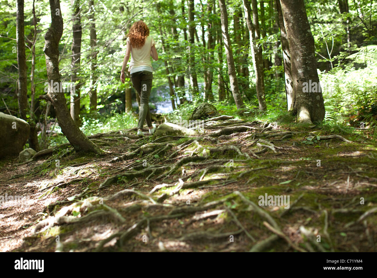 Woman walking in woods, rear view Stock Photo - Alamy
