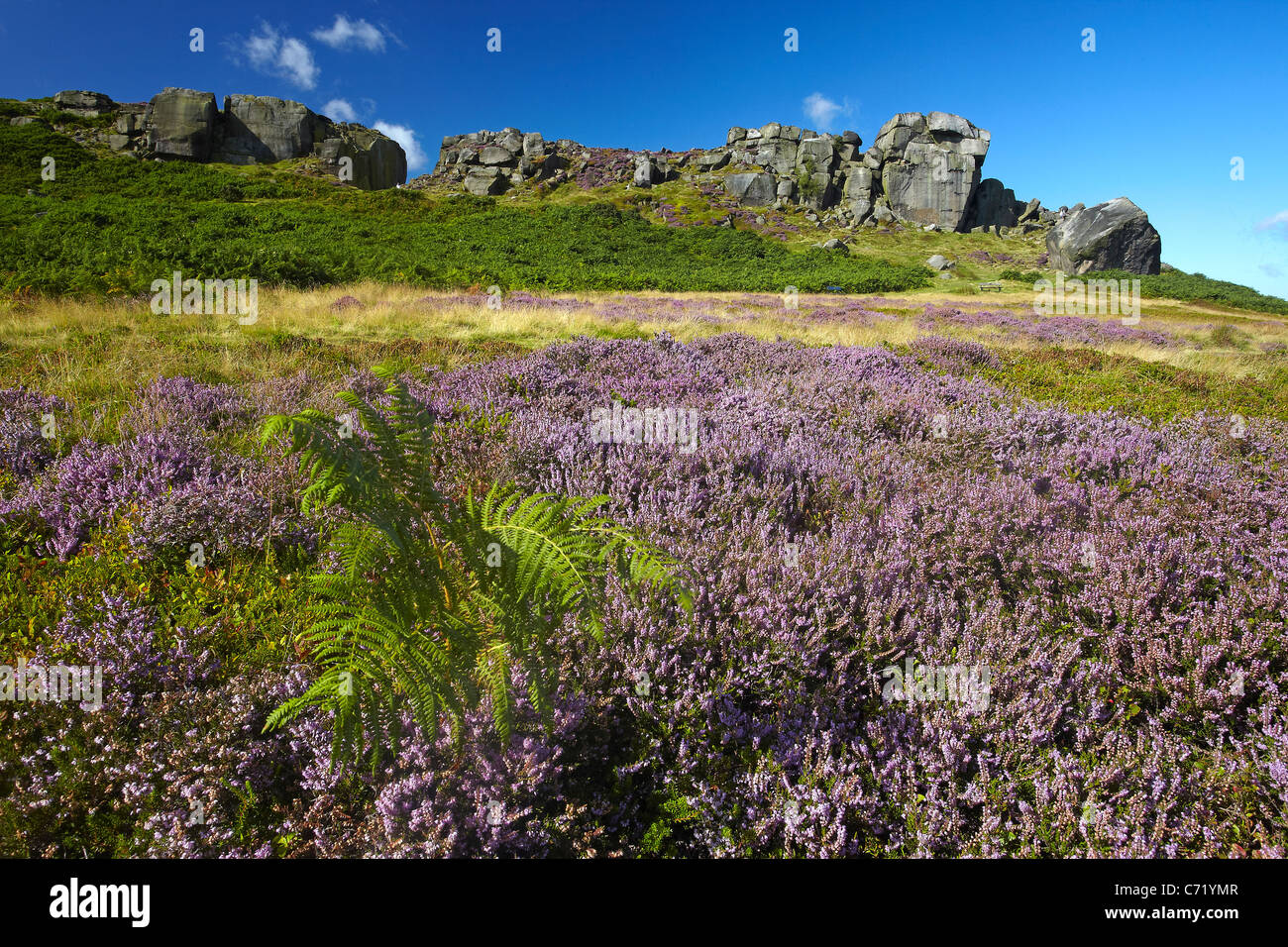 Ilkley moor cow and calf rocks hi-res stock photography and images - Alamy