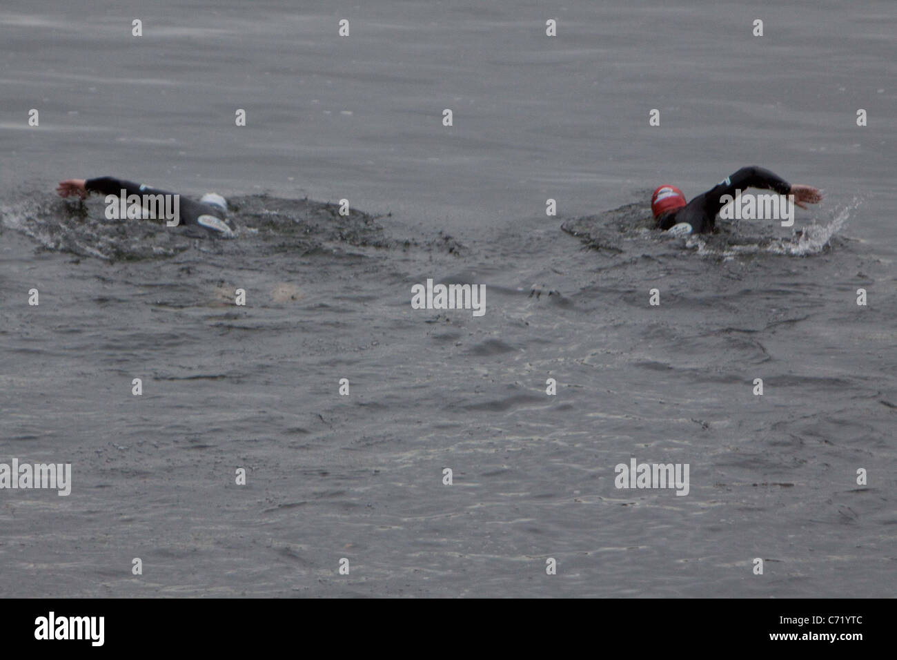 David Walliams taking part in his Sports Relief Swim on the Thames ...