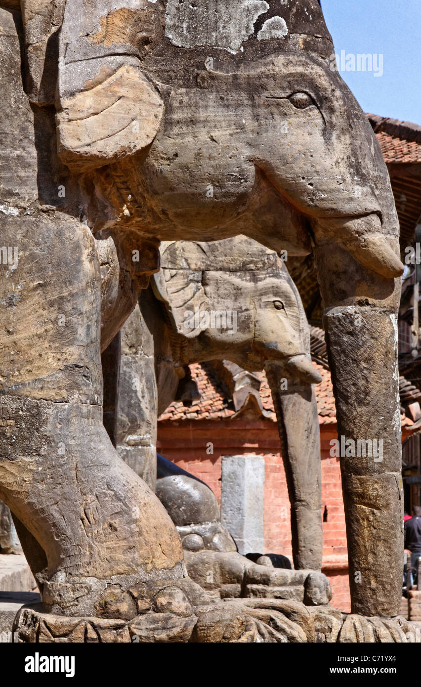 Elephant square hi-res stock photography and images - Alamy