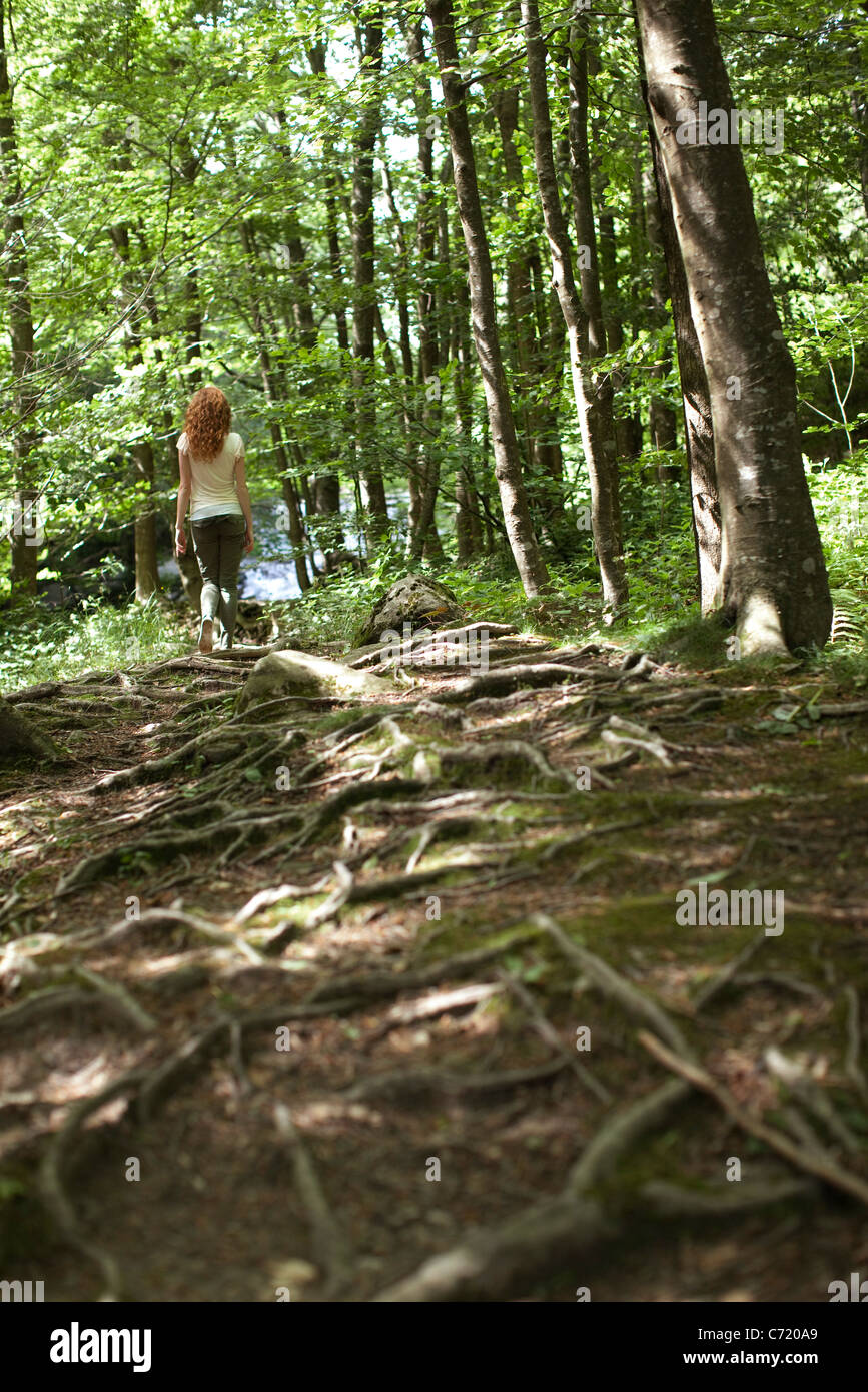 Woman walking in woods Stock Photo - Alamy