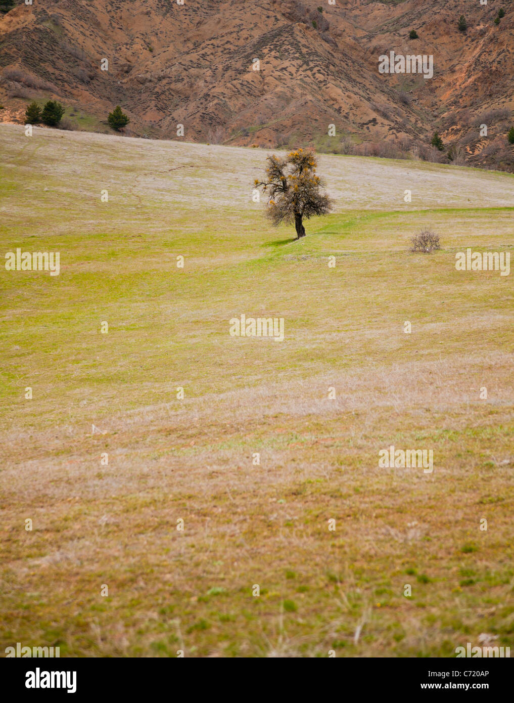 Rural landscape during springtime season in northern Turkey Stock Photo ...