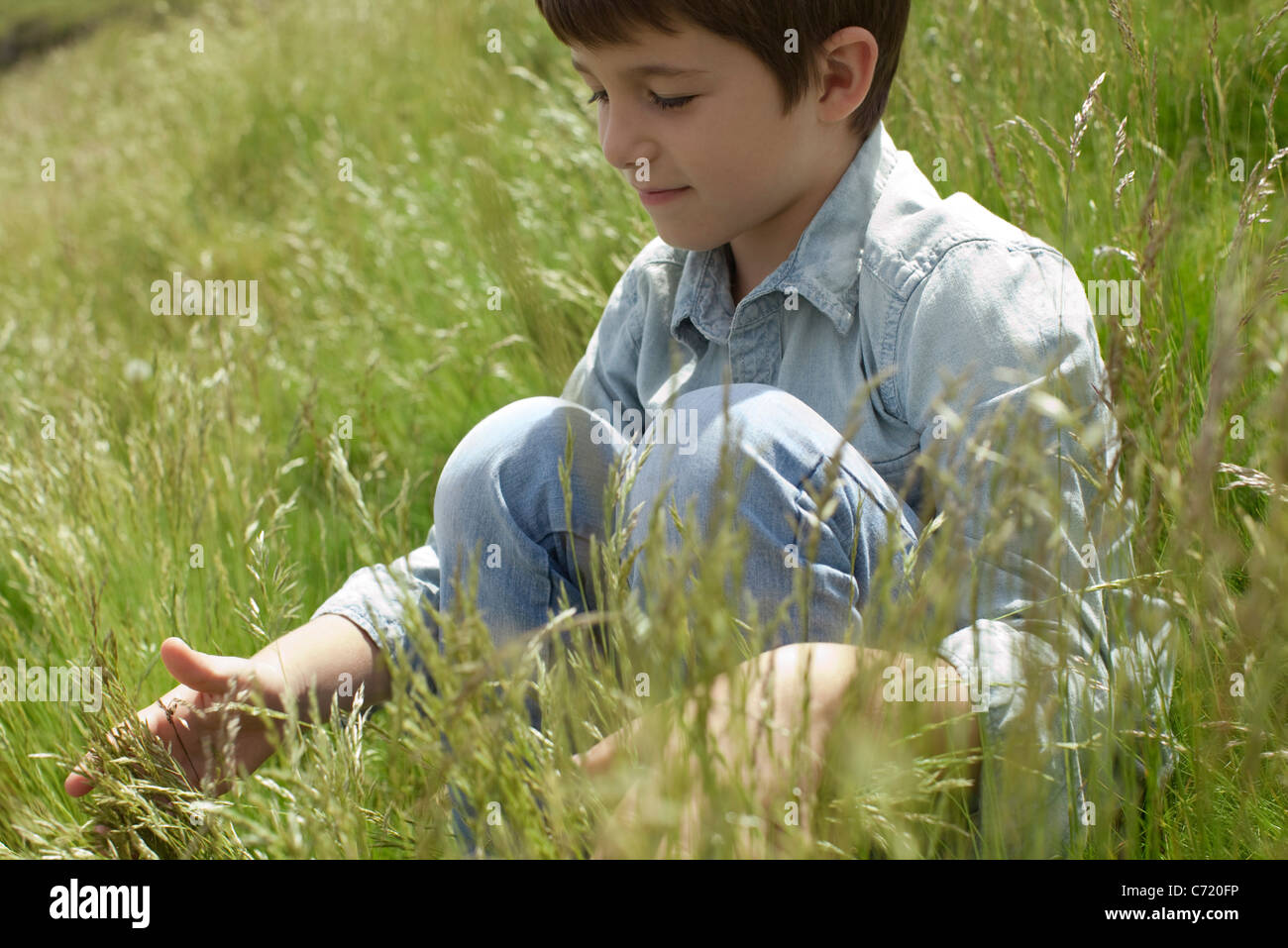 Children playing in tall grass hi-res stock photography and images - Alamy