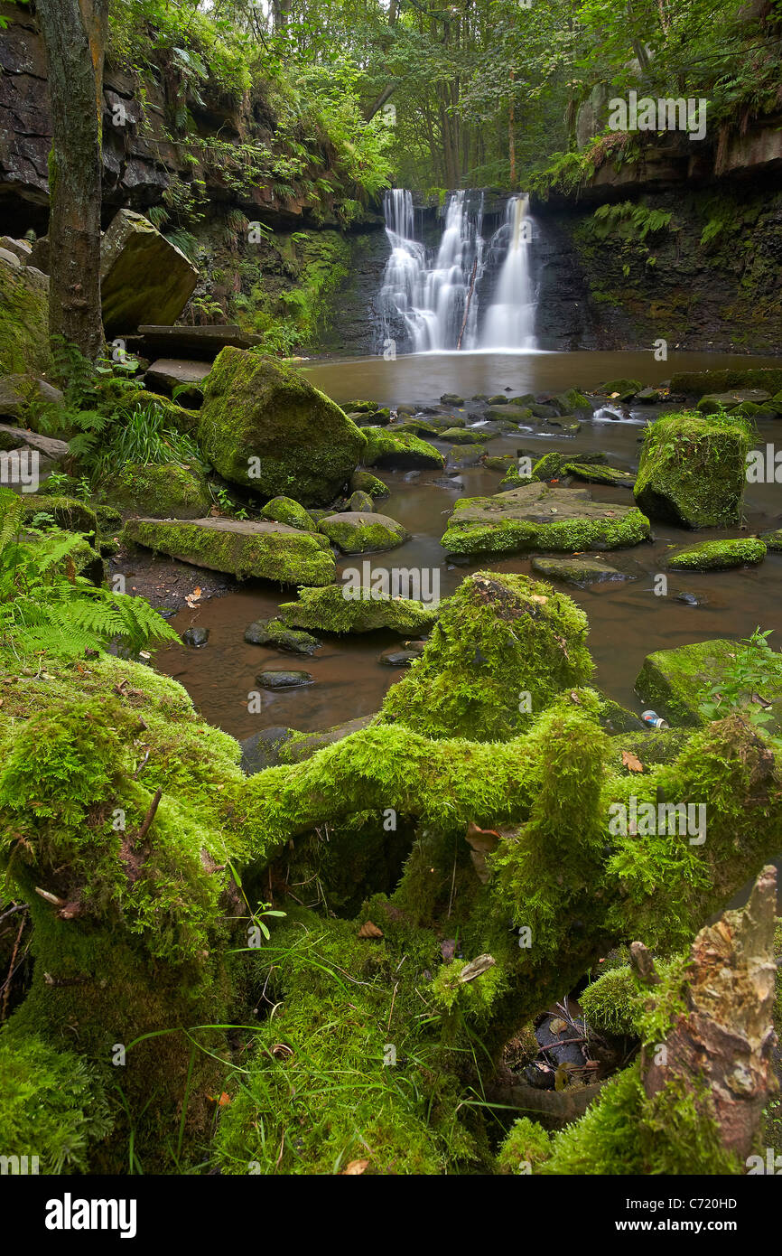 Harden moss hi-res stock photography and images - Alamy