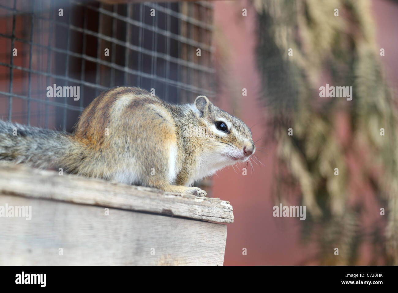 Colden common hi-res stock photography and images - Alamy
