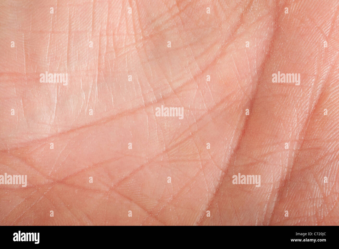 Human skin (inner surface of a male hand) as a background motive Stock ...