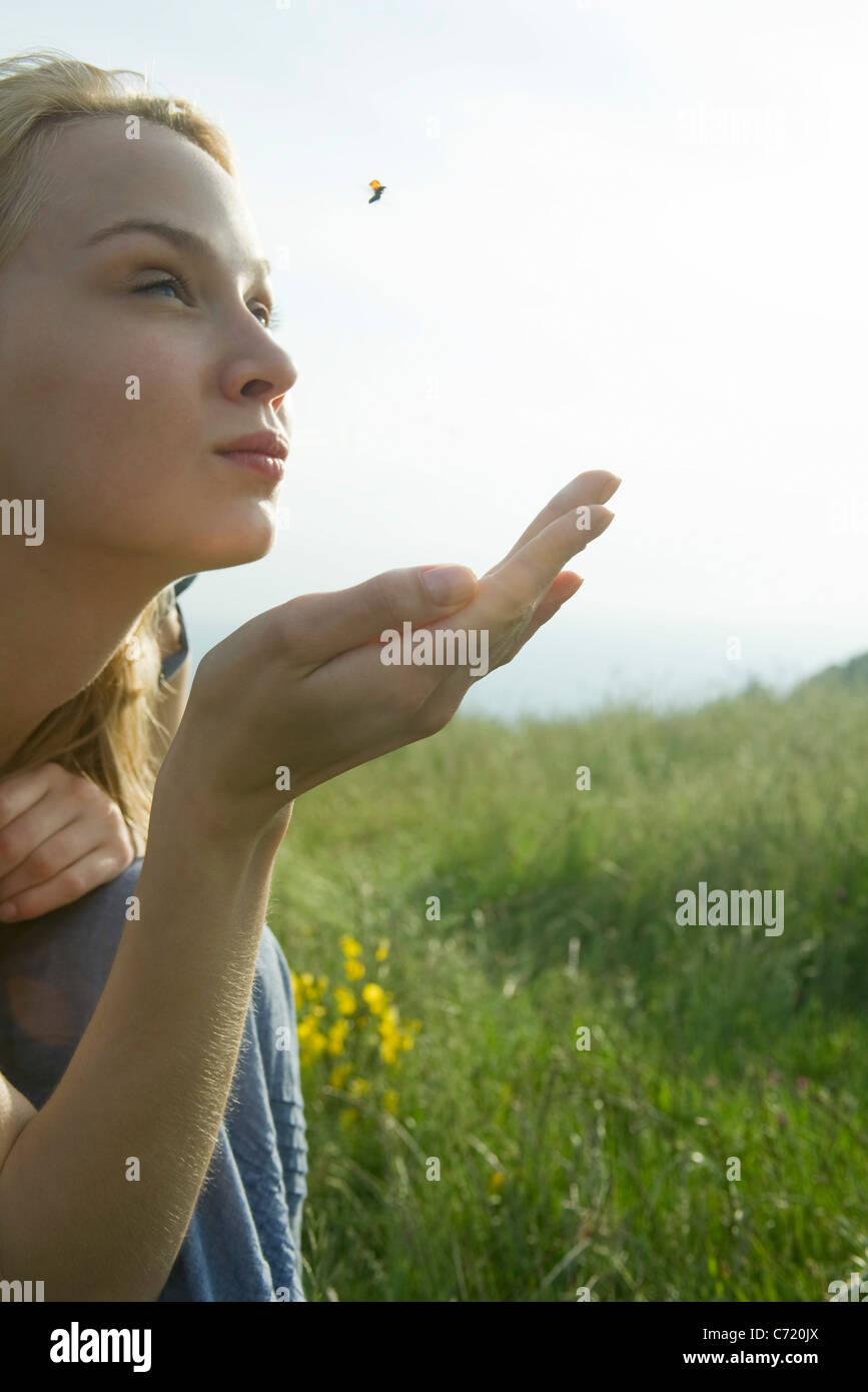Insects under conservation hi-res stock photography and images - Alamy
