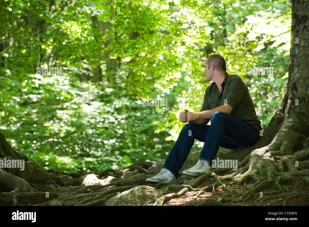 Man sitting on tree roots in woods Stock Photo - Alamy