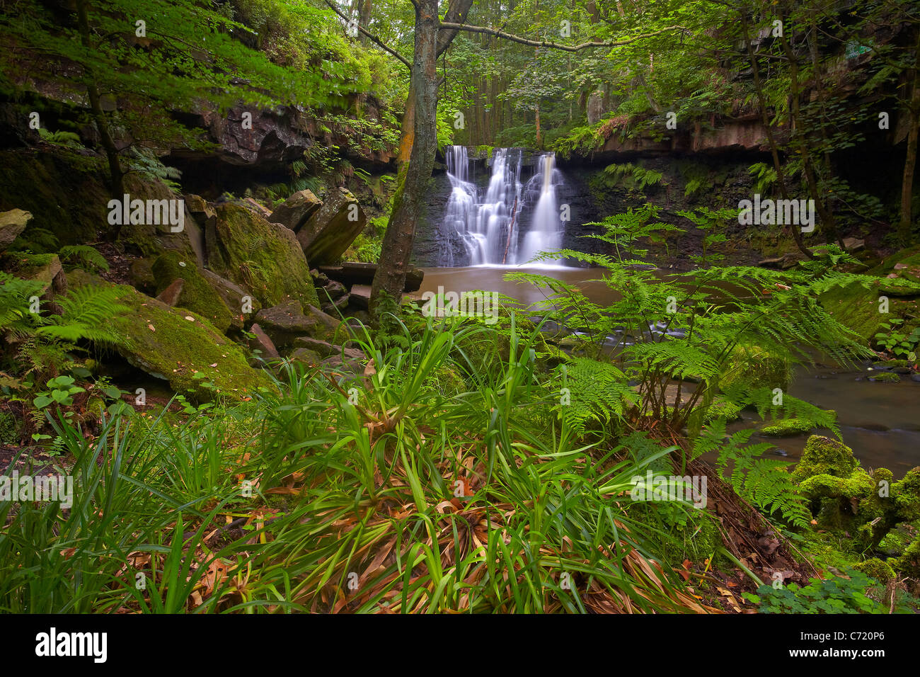 The goit hi-res stock photography and images - Alamy