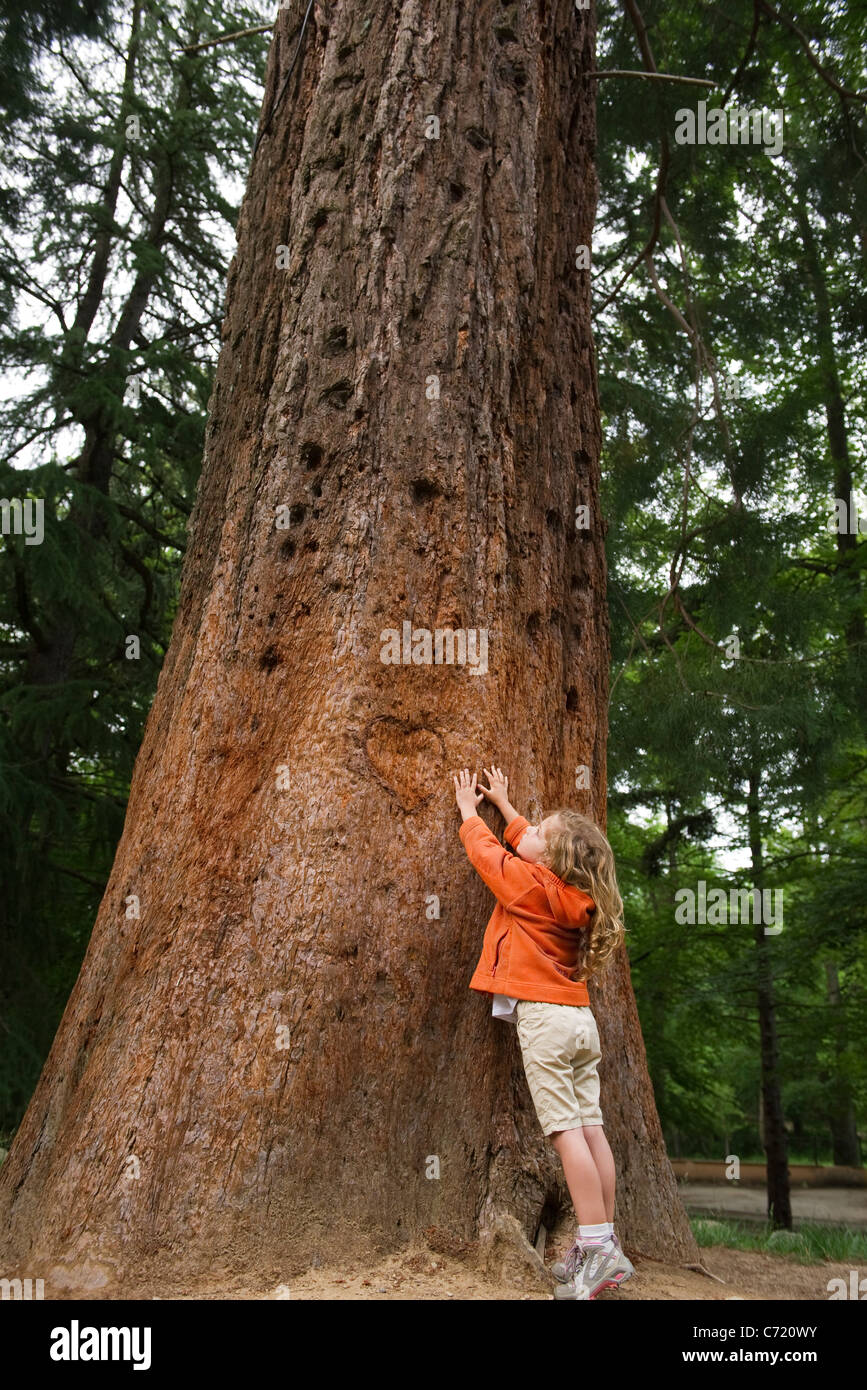 Reach Sizes High Resolution Stock Photography and Images - Alamy