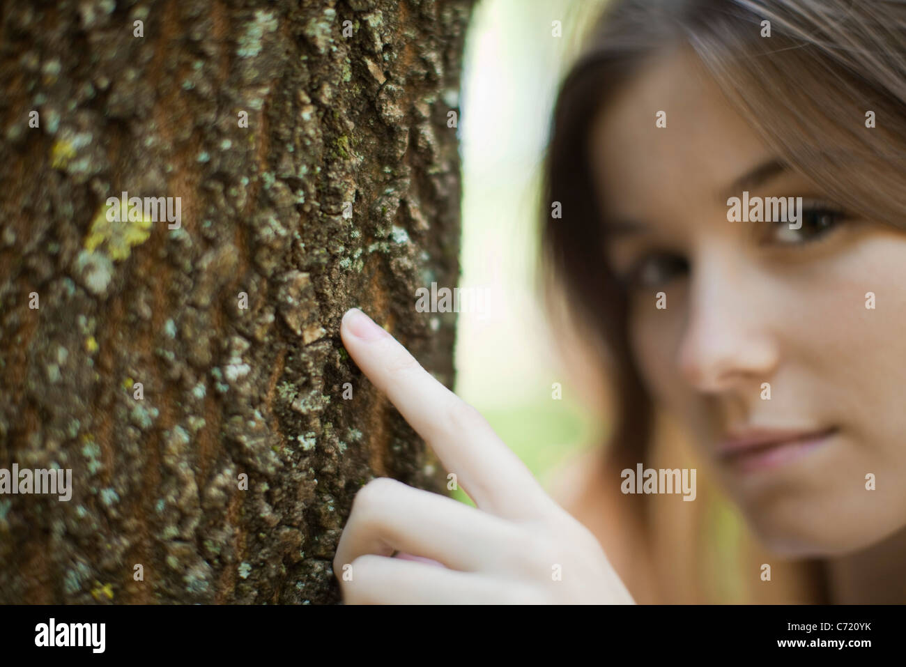 Young woman's finger touching tree trunk, cropped Stock Photo - Alamy