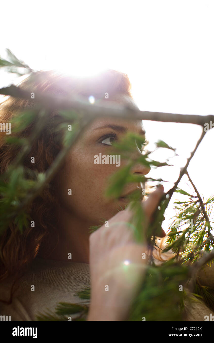Young woman holding tree branch Stock Photo - Alamy