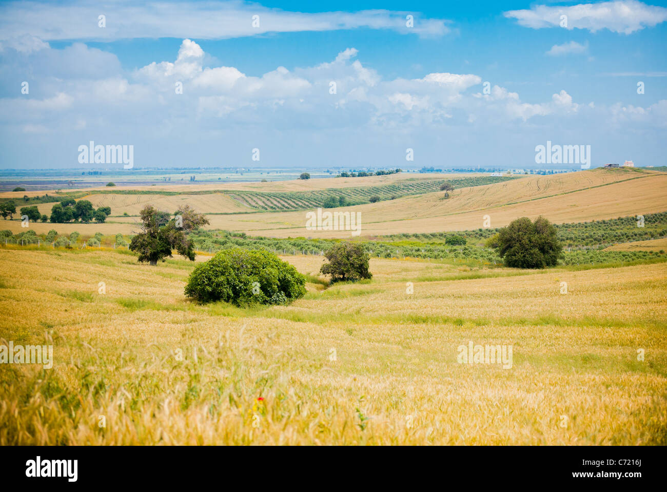 Summer countryside landscape at Karatas, in Turkey Stock Photo - Alamy