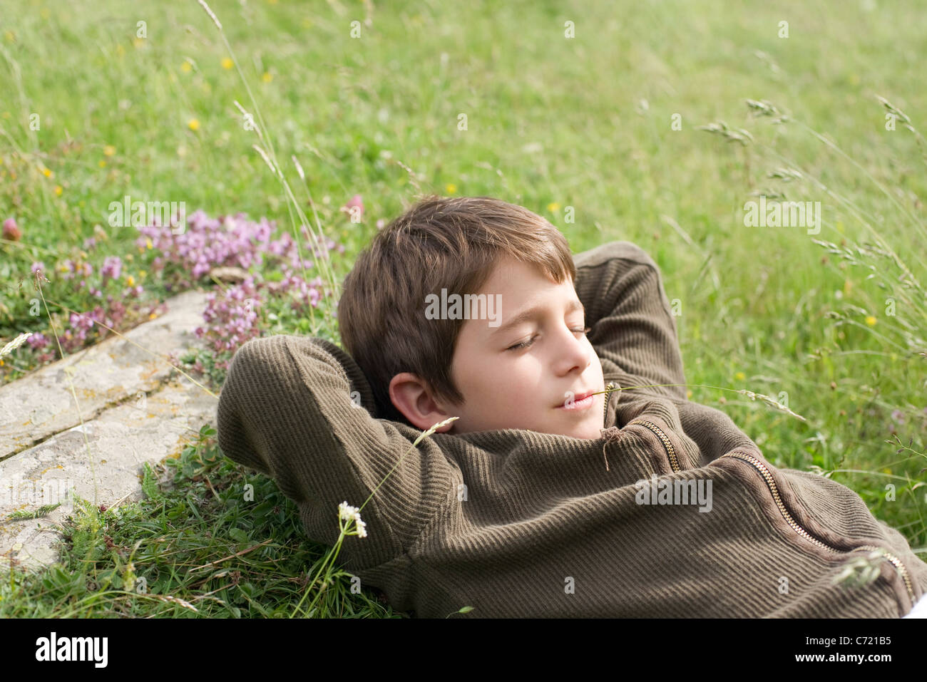 Boy napping on grass Stock Photo - Alamy