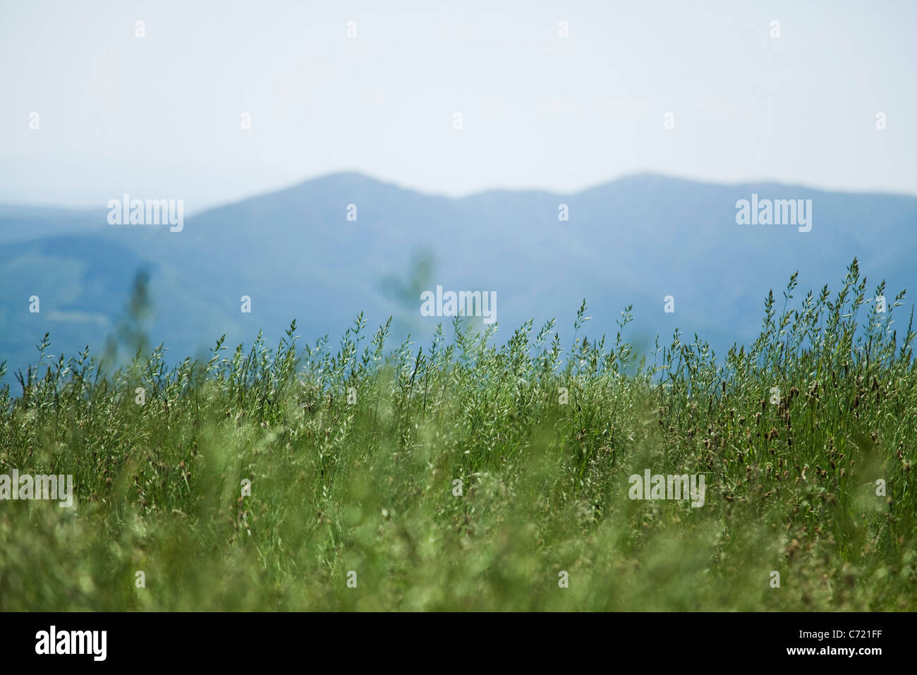 Long range shot hi-res stock photography and images - Alamy