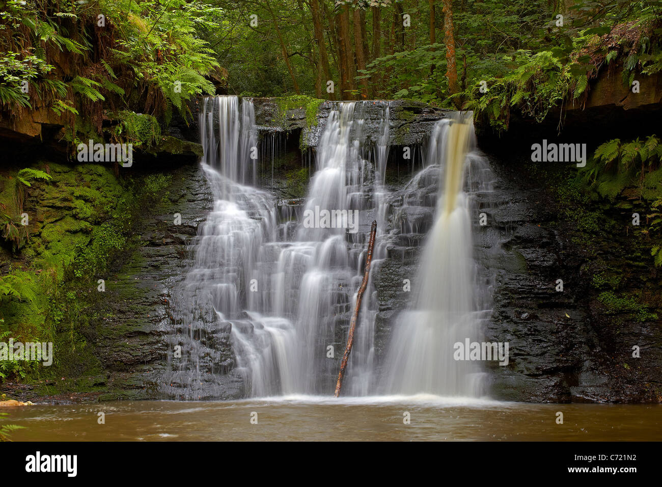 Bronte Falls High Resolution Stock Photography and Images - Alamy