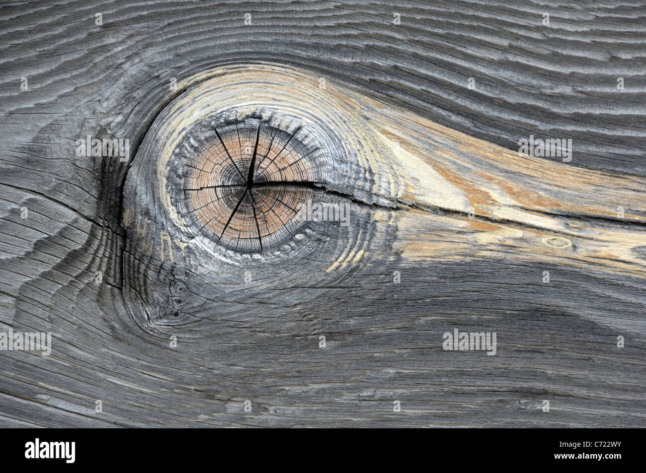 A knot in weathered barn board wood Stock Photo - Alamy