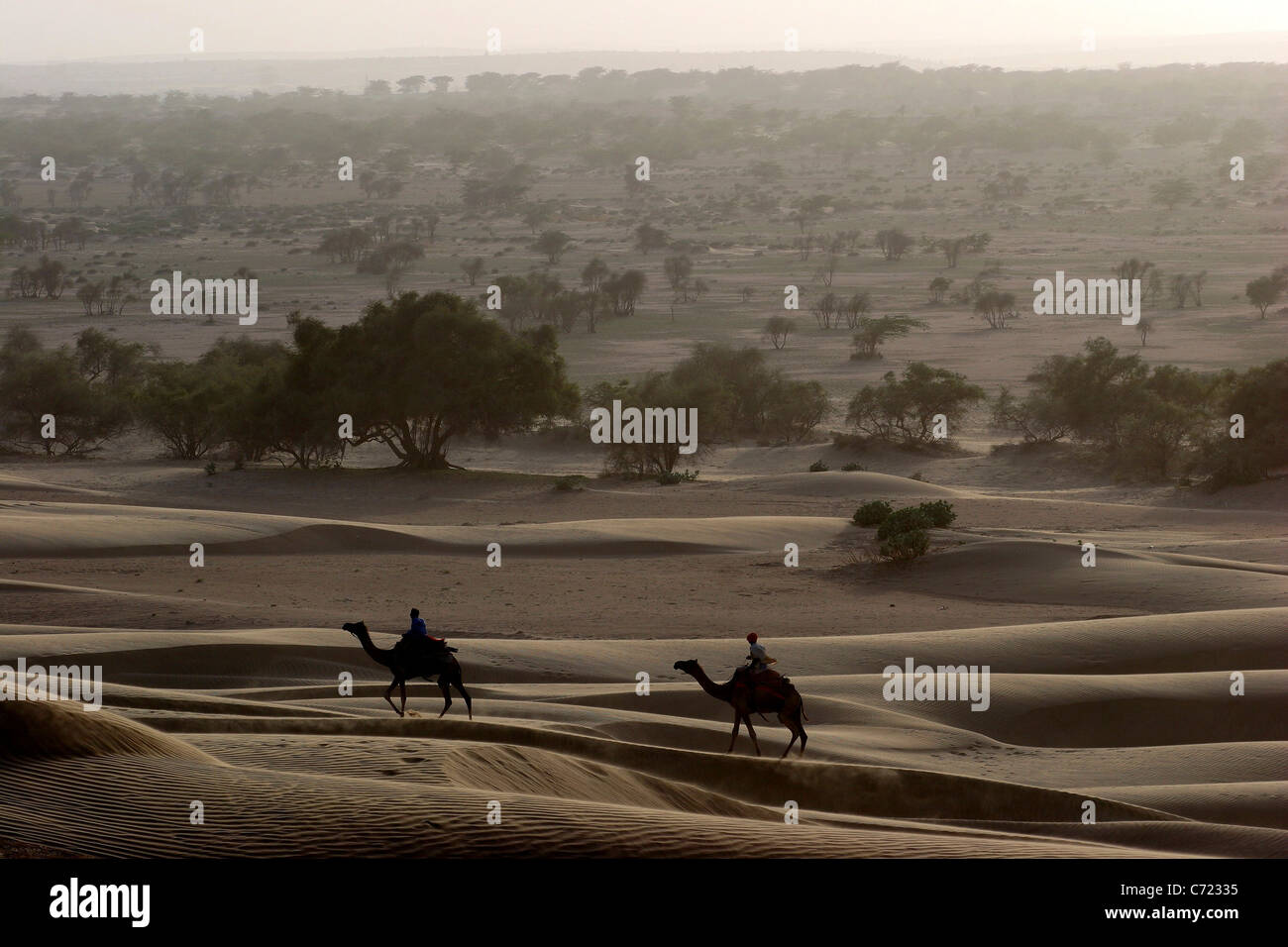Khuri dunes hi-res stock photography and images - Alamy