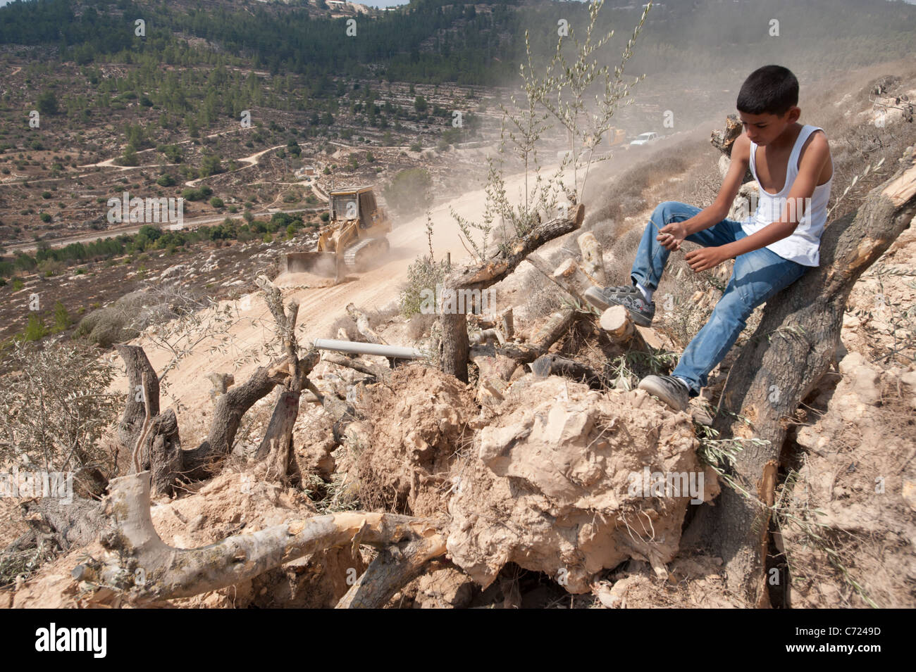 Uprooted tree and wall hi-res stock photography and images - Alamy