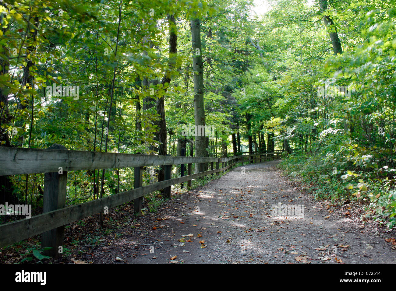 Green patch road hi-res stock photography and images - Alamy