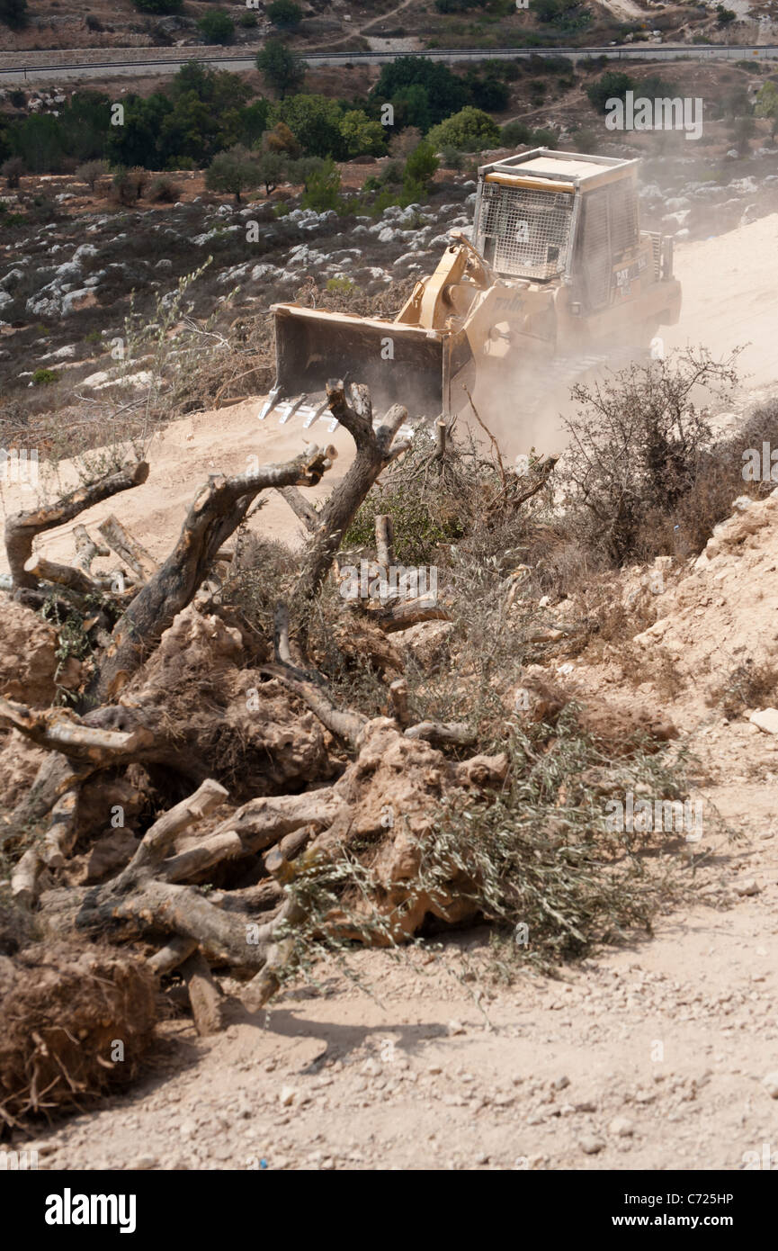 Bulldozer Clearing Land High Resolution Stock Photography and Images ...
