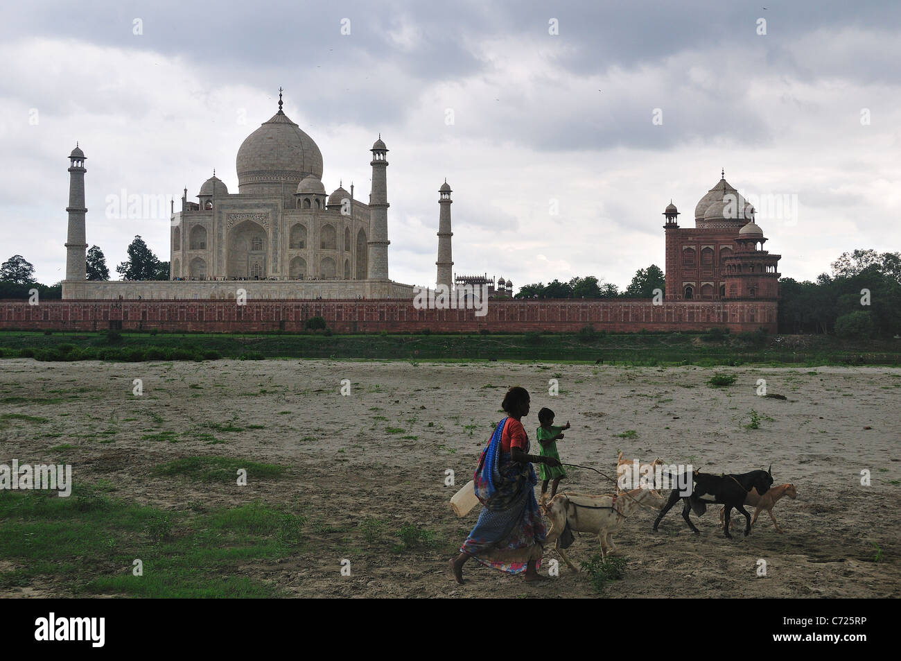 View the taj mahal hi-res stock photography and images - Alamy