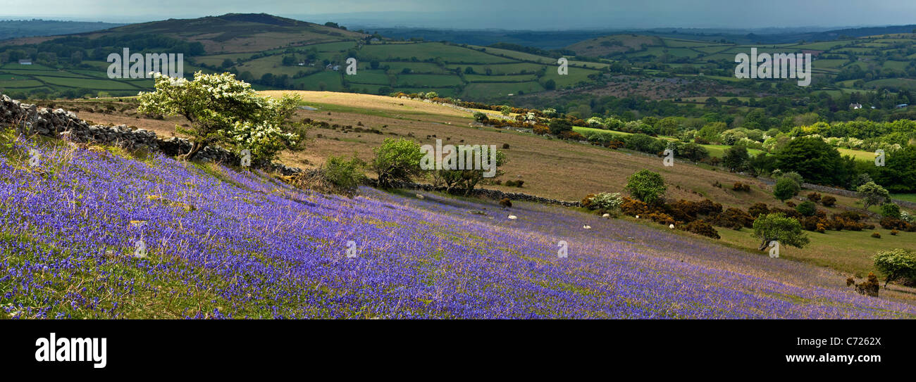 A panoramic view across Dartmoor National Park towards Meldon Hill with ...