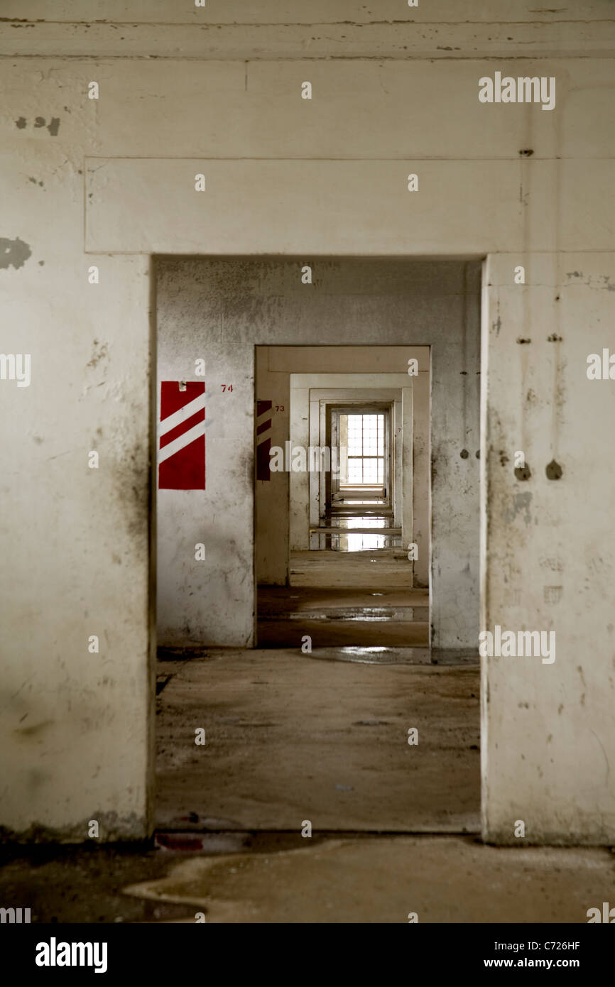 derelict interior of dilapidated warehouse Stock Photo - Alamy