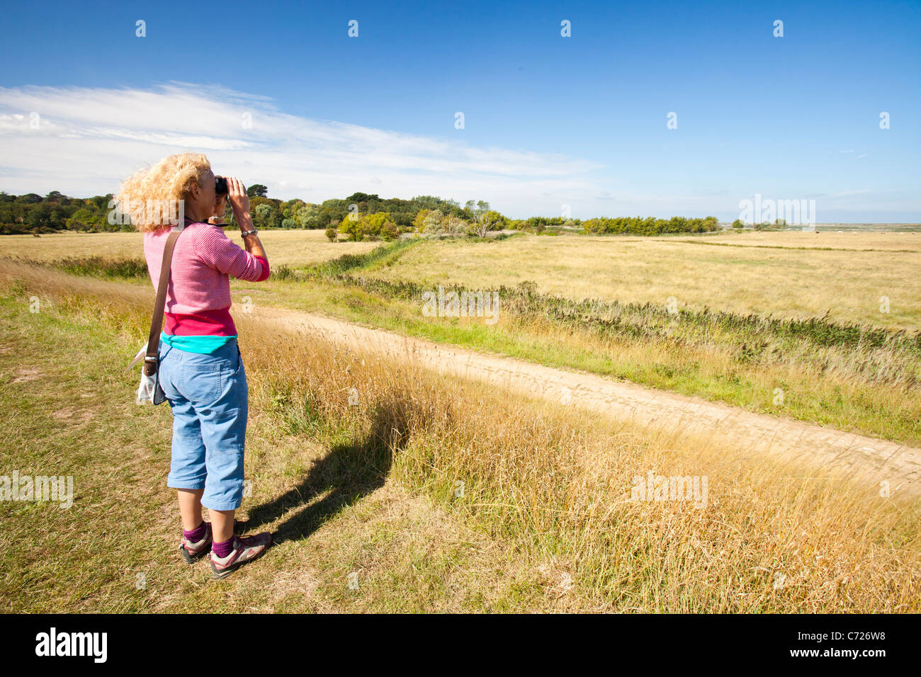 Woman birdwatching hi-res stock photography and images - Alamy