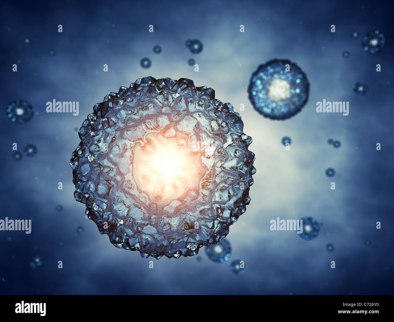 Fertilized egg hi-res stock photography and images - Alamy