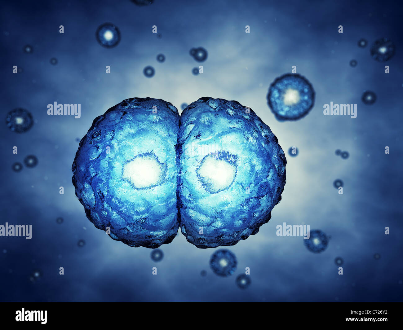Mitosis hi-res stock photography and images - Alamy