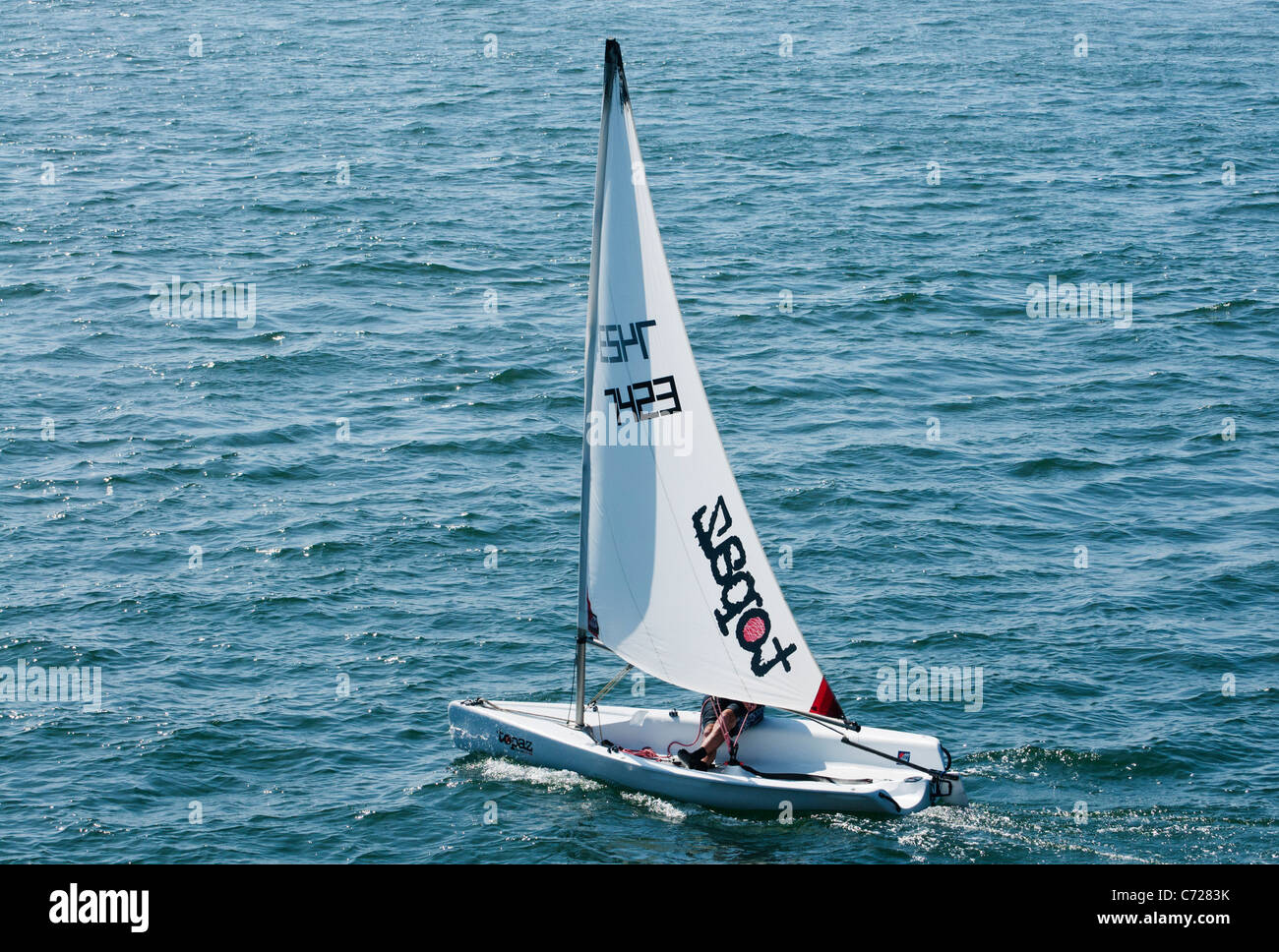 Small sailing dinghy in Plymouth Sound, Devon UK Stock Photo - Alamy