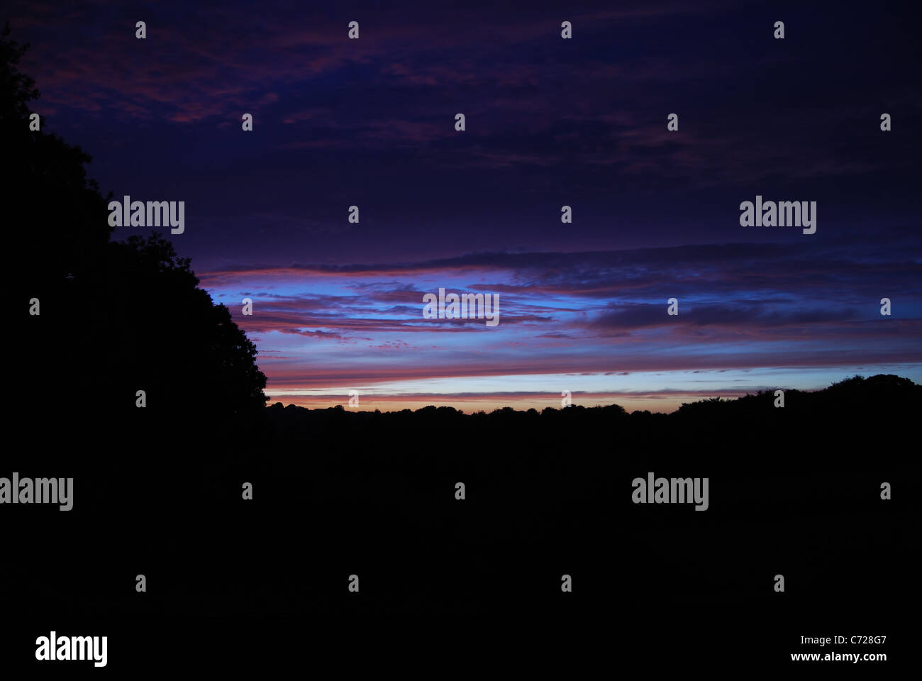 Sunset over the silhouetted tree line Stock Photo - Alamy