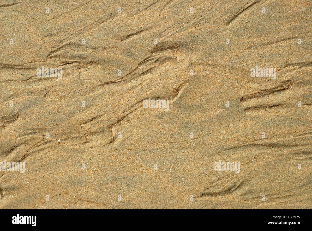 rivulets of water in beach sand at low tide, Florence Bay, Magnetic ...