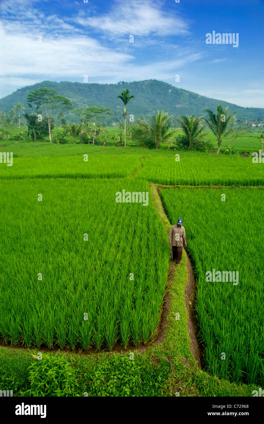 Farmer at the Bund Stock Photo - Alamy