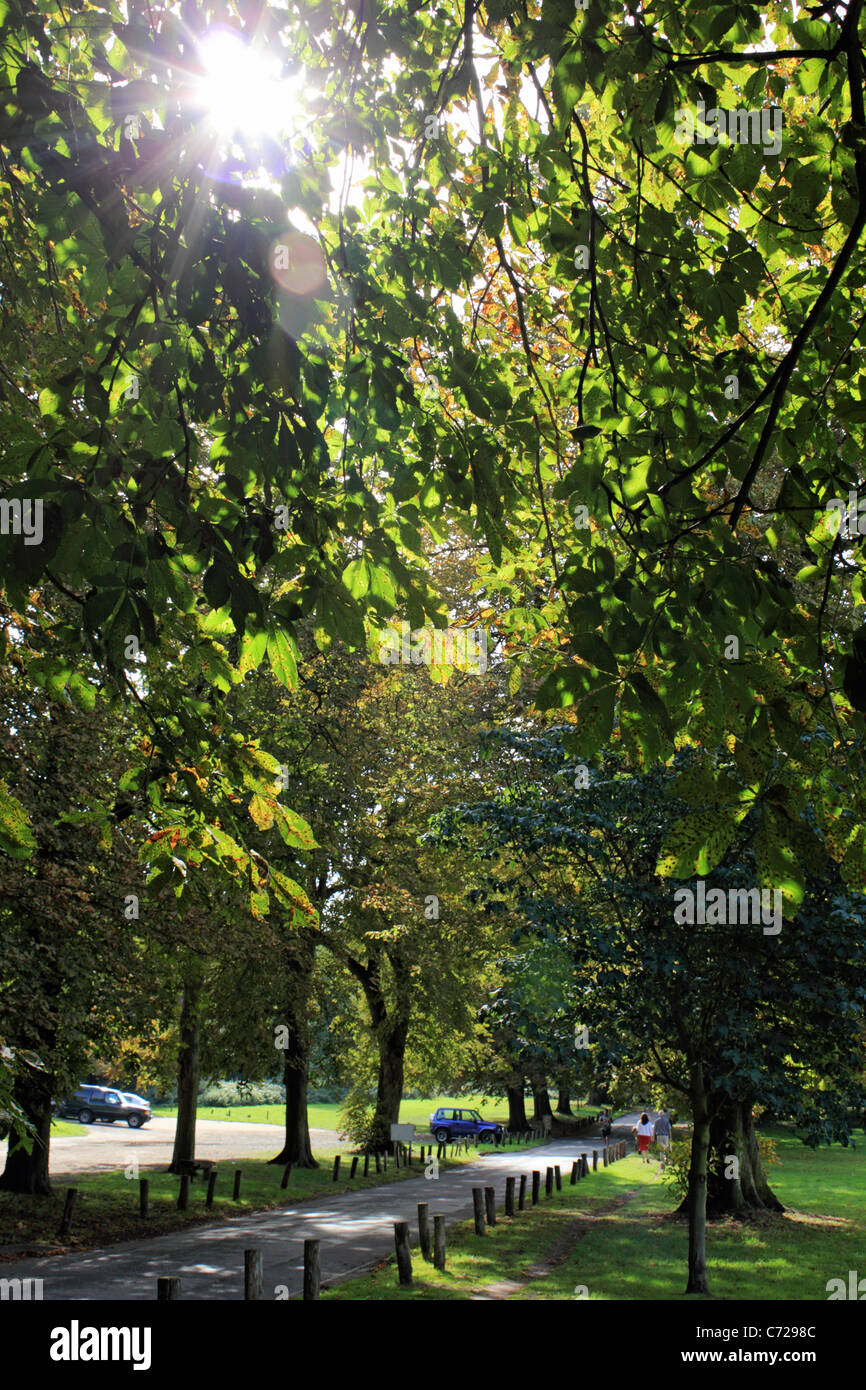 Ewell surrey hi-res stock photography and images - Alamy