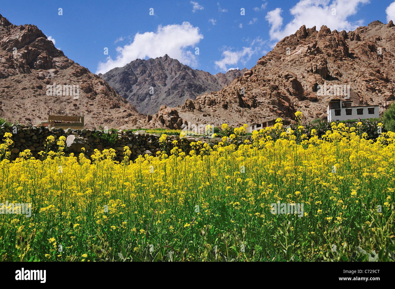 Alchi leh hi-res stock photography and images - Alamy