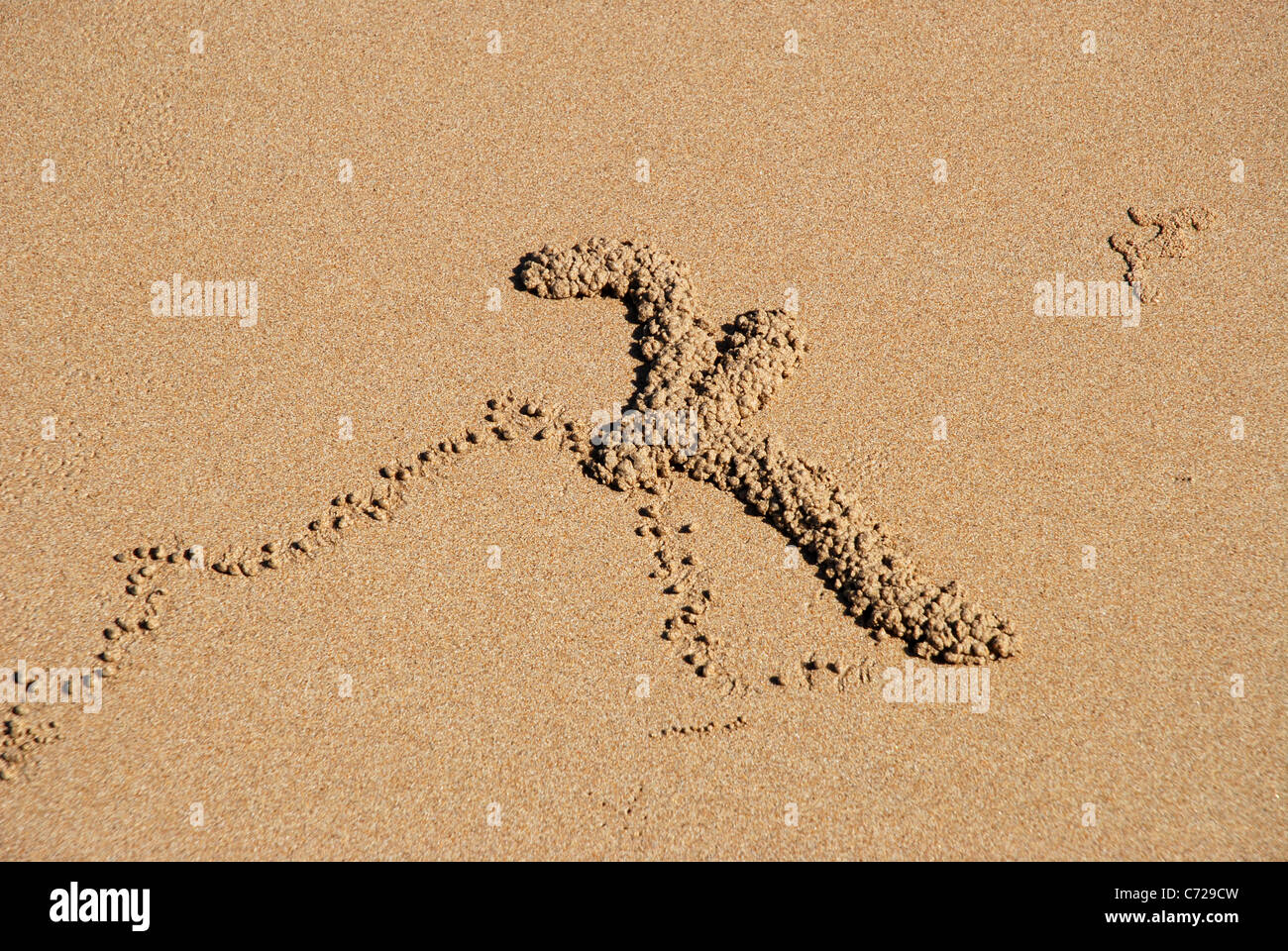 Hole in sand made by crab hi-res stock photography and images - Alamy