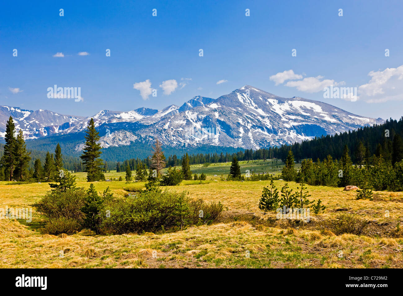Mount Lyell from Tuolumne Meadows, Tioga Road, Yosemite National Park, USA. JMH5295 Stock Photo ...