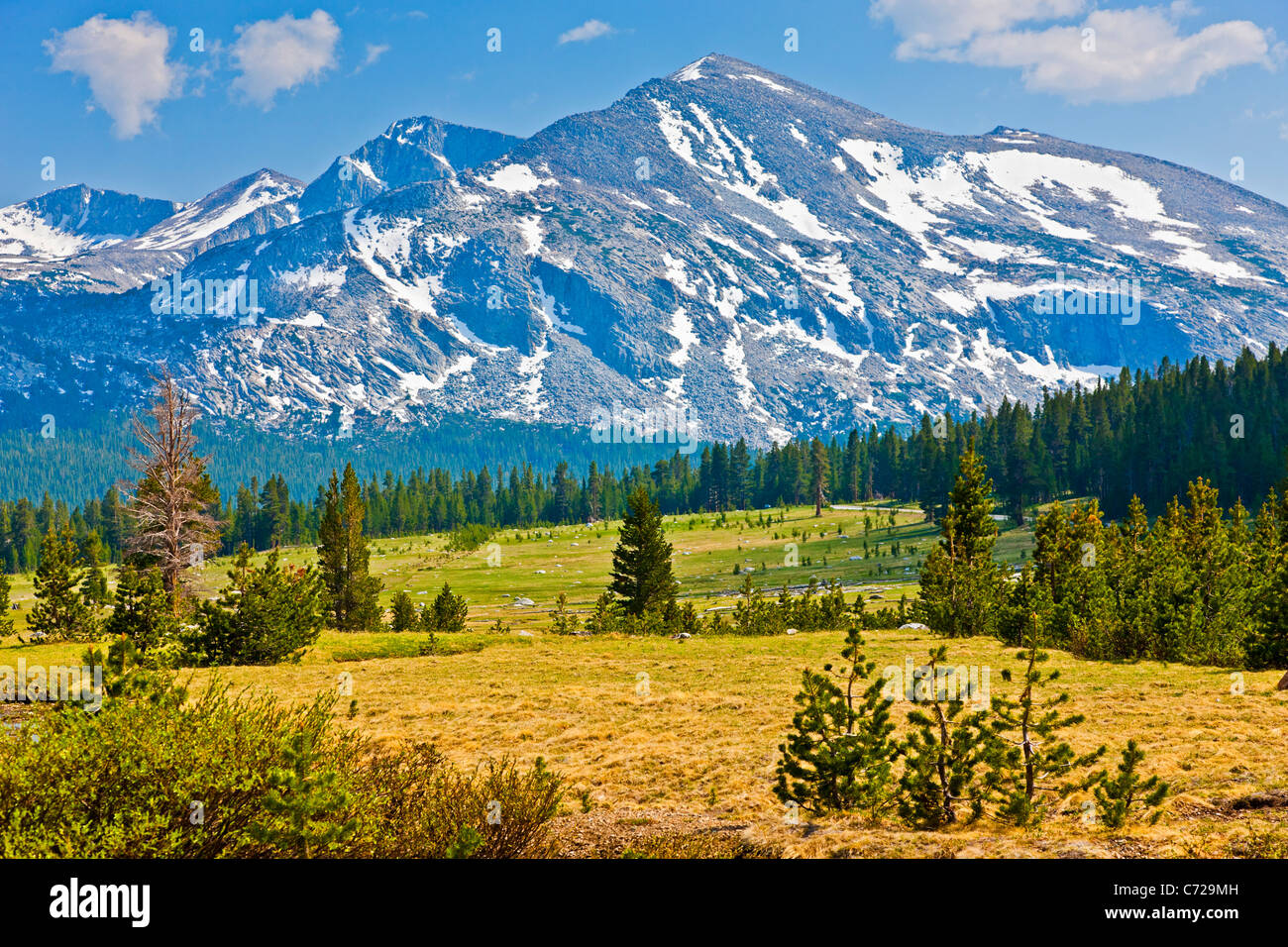Mount Lyell from Tuolumne Meadows, Tioga Road, Yosemite National Park, USA. JMH5296 Stock Photo ...