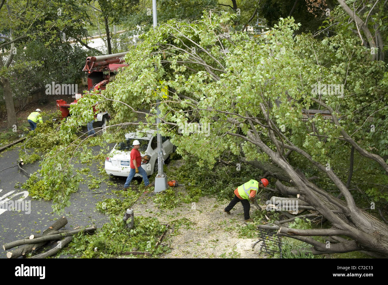 Hurricane tree removal hi-res stock photography and images - Alamy